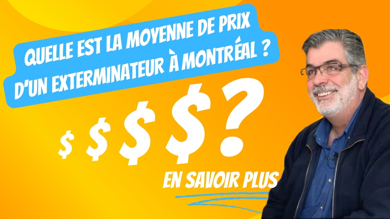 Quelle est la moyenne de prix d’un exterminateur à Montréal